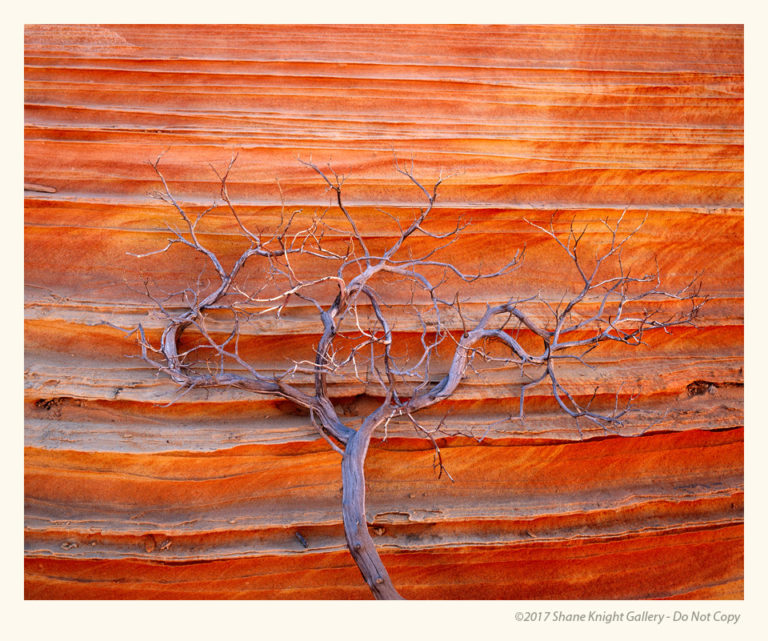 Landscape Portfolio | The Shane Knight Gallery